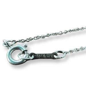 Tiffany & Co. | Jewelry | Tiffany Co Elsa Peretti Double Loop Necklace ...